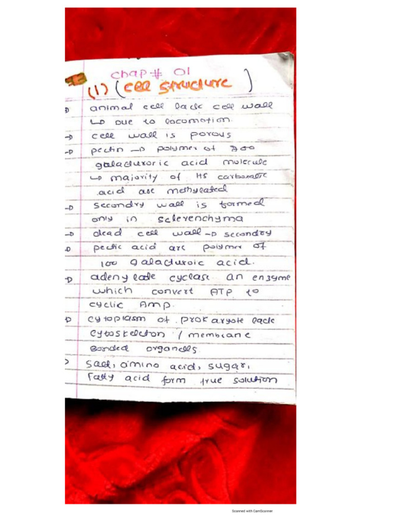 Chapter 3 Cell Structure 1 Pdf 5470