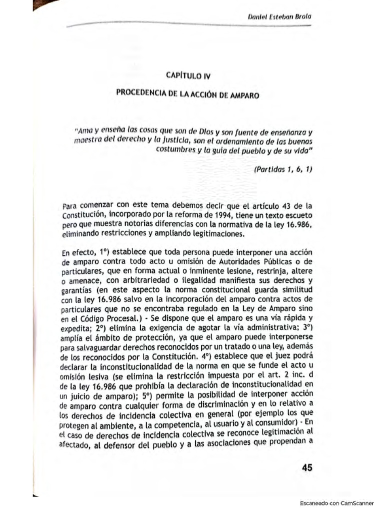 PROCEDENCIA DE LA ACCION DE AMPARO | PDF