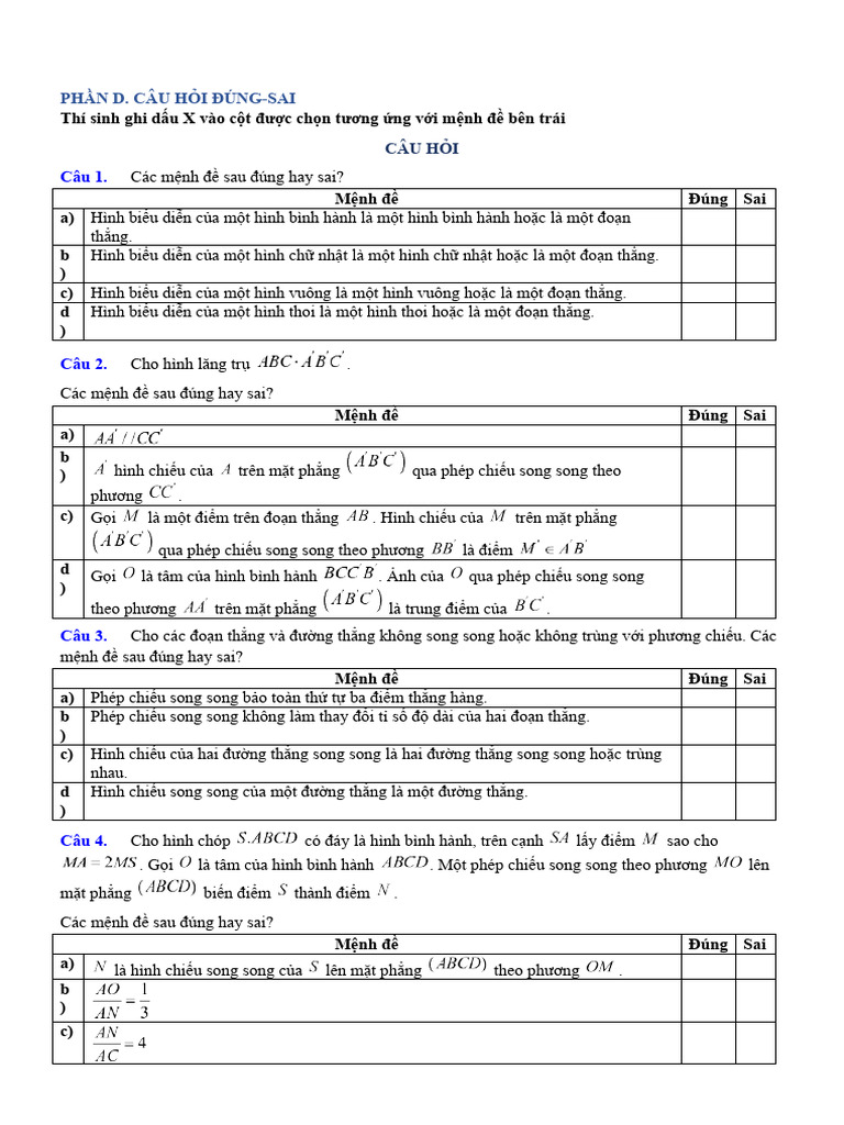 Bài 16. Phep Chieu Song Song - Dungsai | PDF