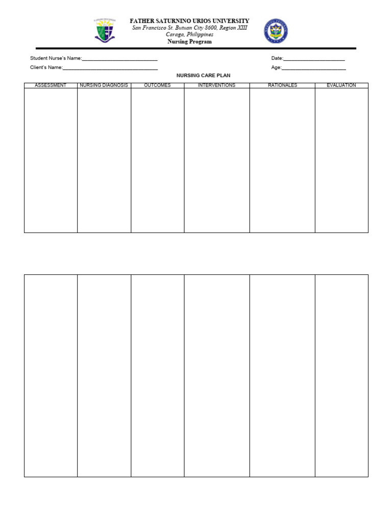 NCP Format Fsuu | PDF | Wellness