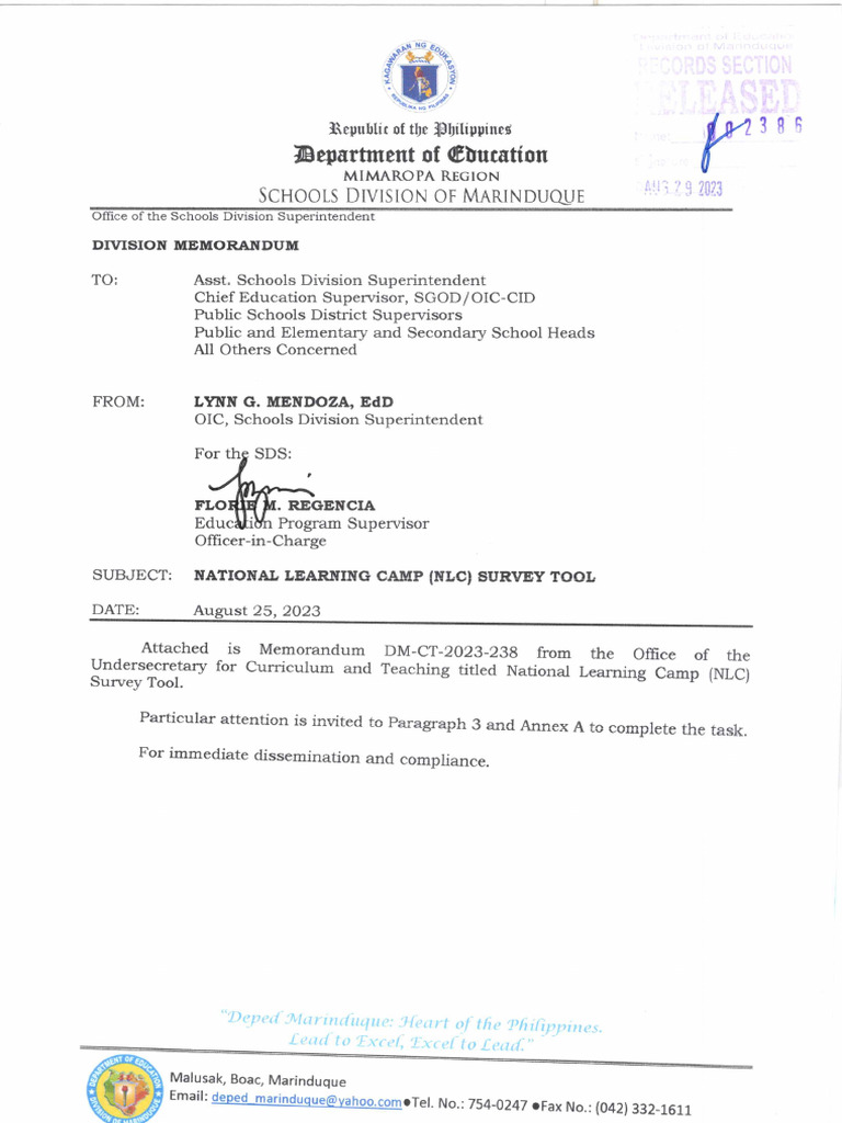 3894-National Learning Camp (NLC) Survey Tool | PDF