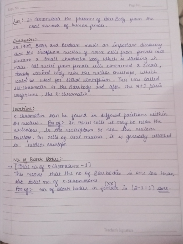 Barr Body Practical | PDF | Foreign Language Studies