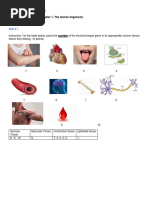 Directional Terms Worksheet | PDF | Anatomical Terms Of Location | Elbow
