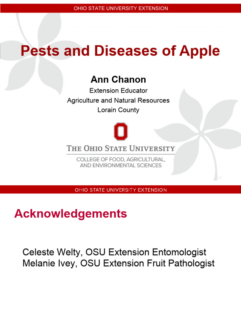 Apple IPM Diseases and Insects Ann Chanon 24qt46b | PDF | Plants