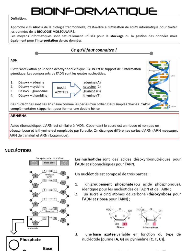 Cours de bioinformatique master PDF | PDF | Gènome | ADN