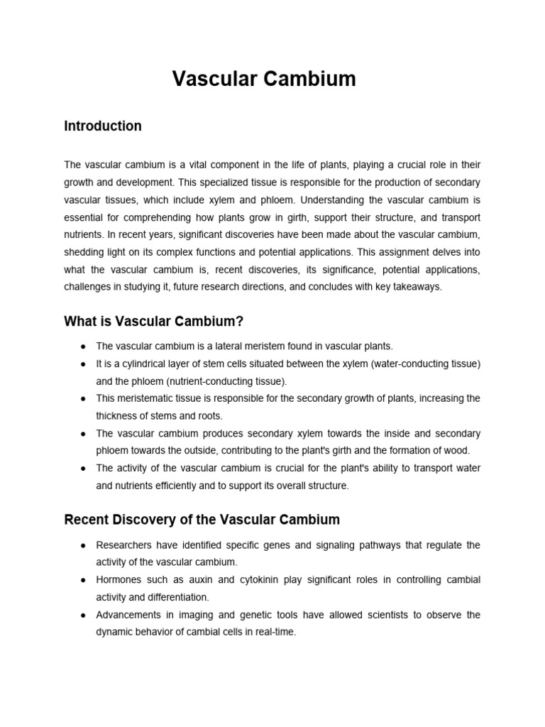 Vascular Cambium | Download Free PDF | Biology | Botany