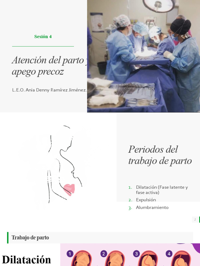 s4. Atención Del Parto y Apego Precoz | PDF