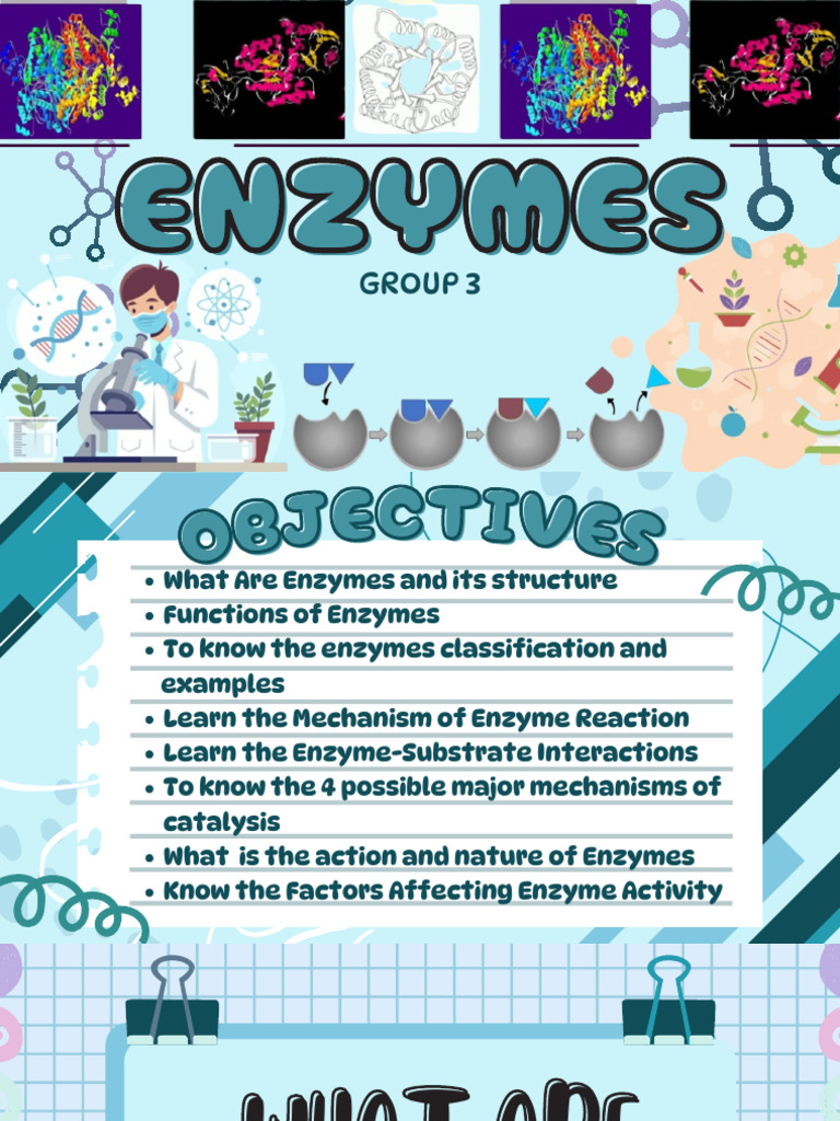 Enzymes (1) | Download Free PDF | Enzyme | Active Site