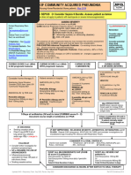 Philippine Adult CAP Guidelines | PDF | Respiratory Diseases | Medicine