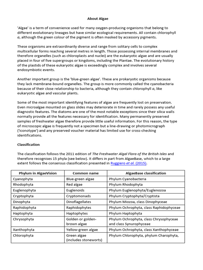 Algaevision About Algae | PDF | Algae | Chloroplast
