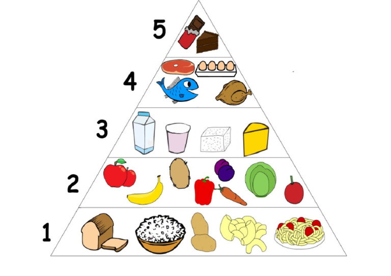 piramida alimentelor c | PDF