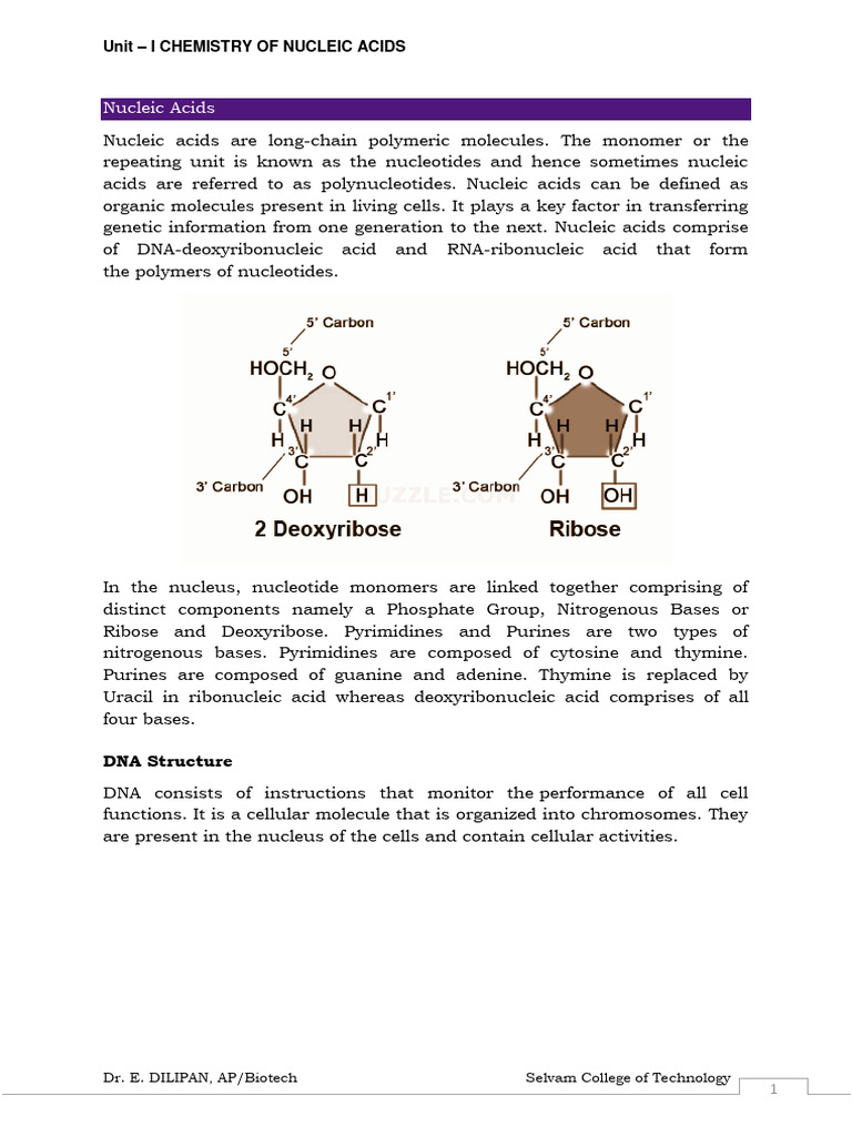 Chemistry of Nucleic Acids | PDF | Rna | Dna