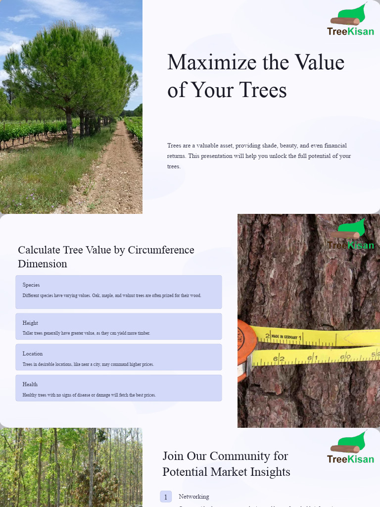 Maximize The Value of Your Trees | PDF | Lumber | Trees