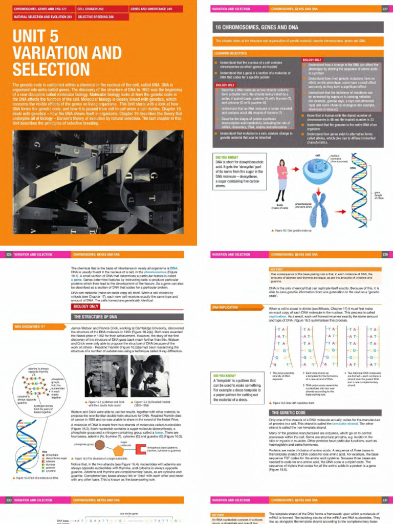Unit 5 Lesson 16 Chromosomes, Genes and DNA | PDF | Gene | Dna