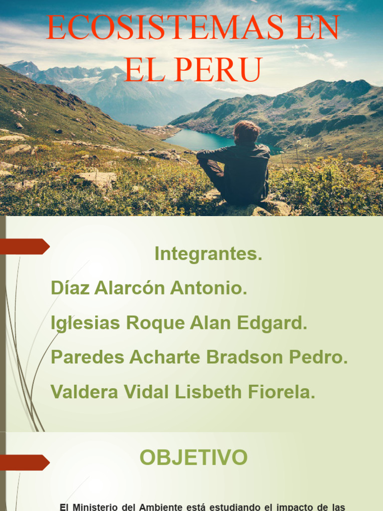 Pc1 Medio Ambiente s5 | PDF | Mangle | Ecosistema