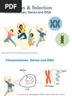 Grade 11 Biology: Genetics & Cell Division | PDF | Dominance (Genetics ...