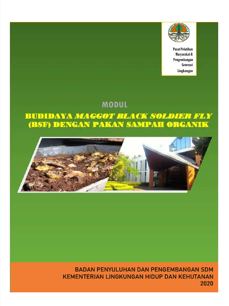 MODUL 2 Budidaya Maggot Black Soldier Fly (BSF) 2 | PDF