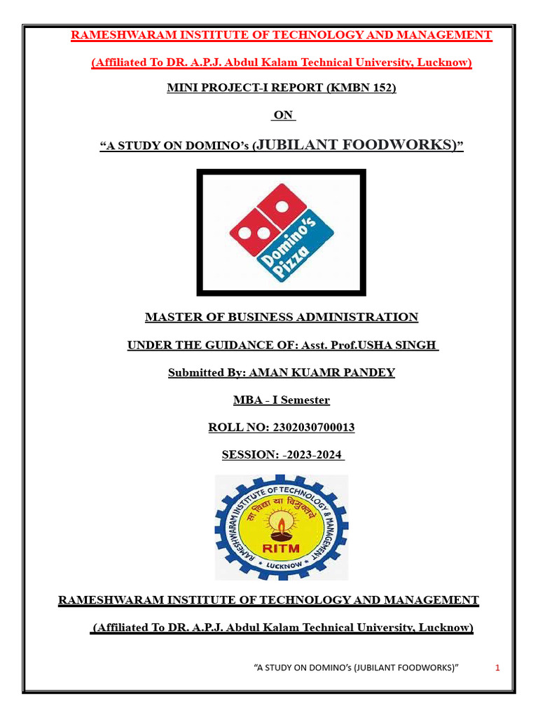 Mini Project Aman KR Pandey | PDF