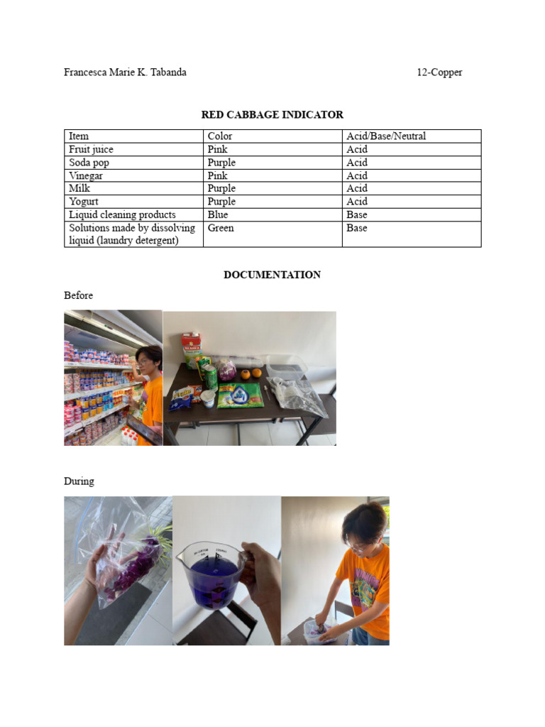 Red Cabbage Indicator | PDF
