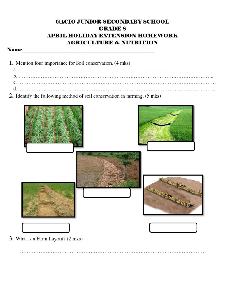 Grade 8 Holiday Extension Homework | PDF | Irrigation