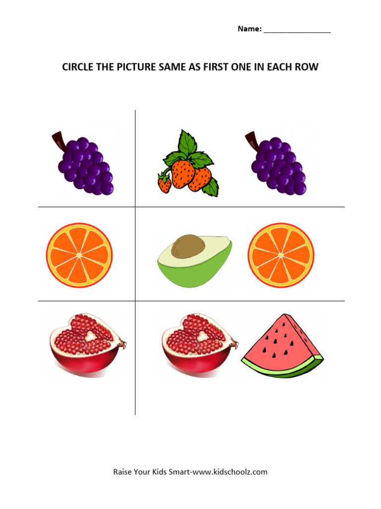 Fruits Circle 3 | PDF