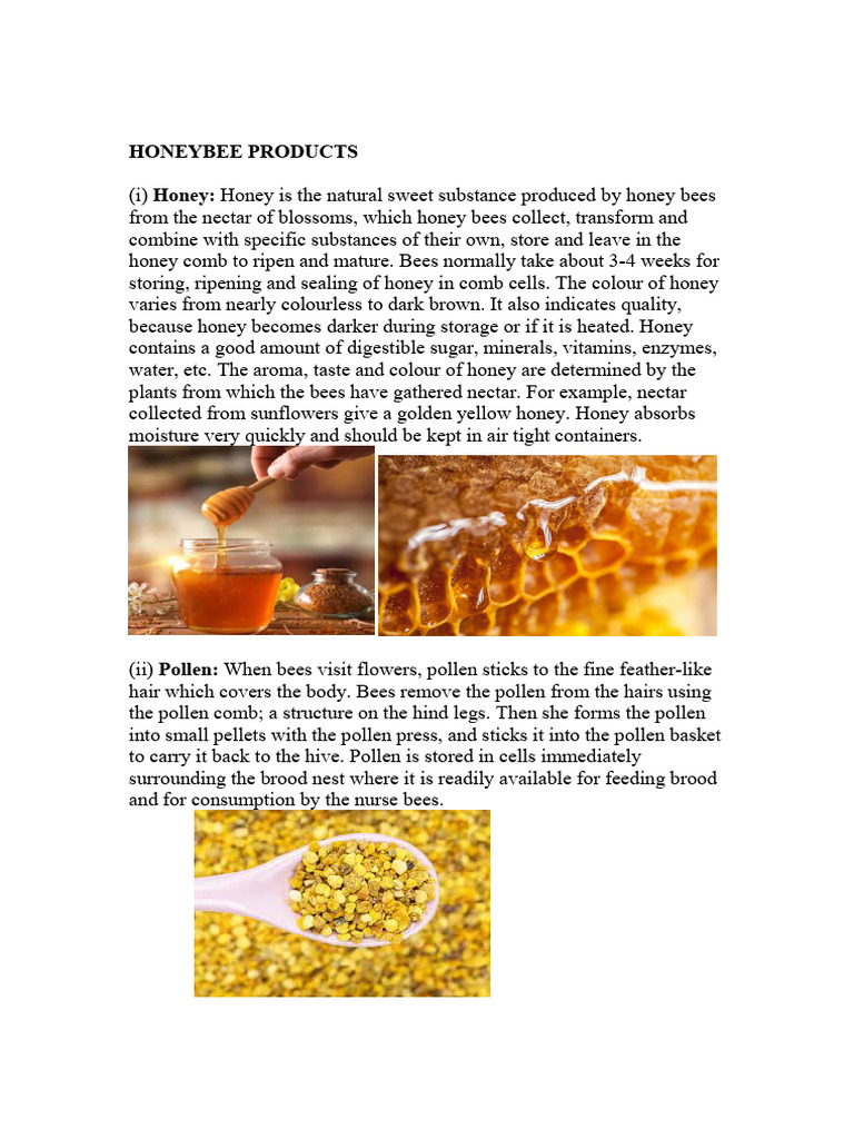 Apiculture Practical | PDF | Honey Bee | Beehive