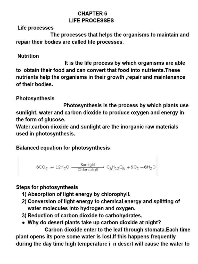 Life Processes | PDF | Respiratory Tract | Heart