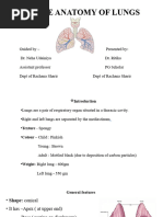 Lung Surface Anatomy Overview | PDF