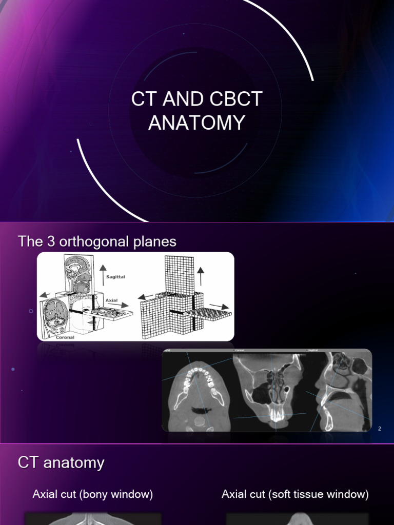 CT & CBCT Anatomy 2024 | PDF | Human Anatomy | Skeletal System