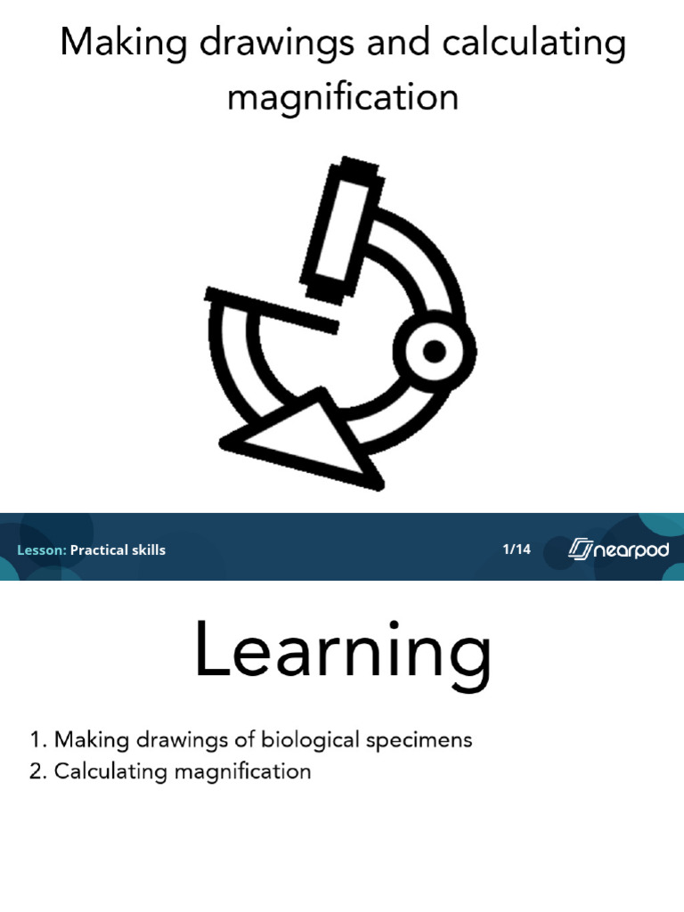 B2.1c-Practical-skills | PDF B2.1c-Practical-skills | PDF