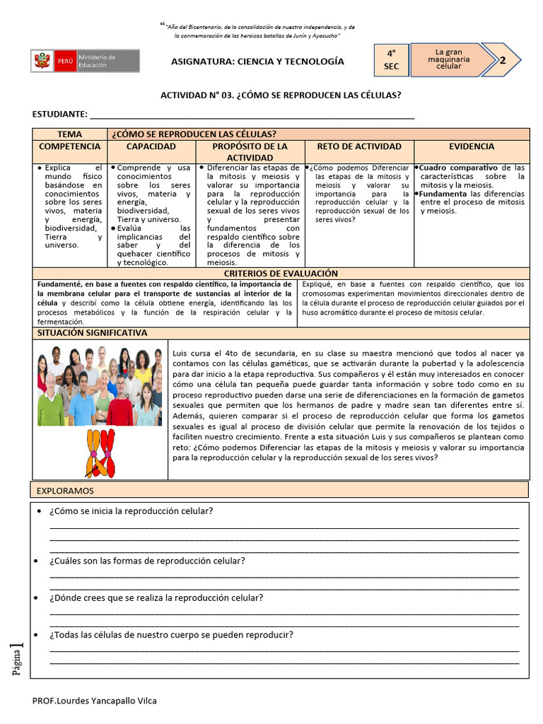 4°sec - UNIDAD 2 - ACTIVIDAD 3 (CyT Explica 2024) - Cómo Se Reproducen Las Células | PDF ...