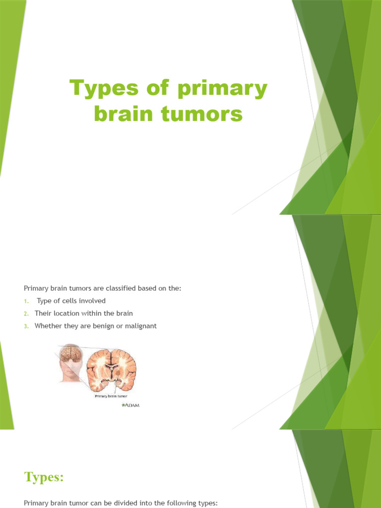 Types of Primary Brain Tumors | PDF
