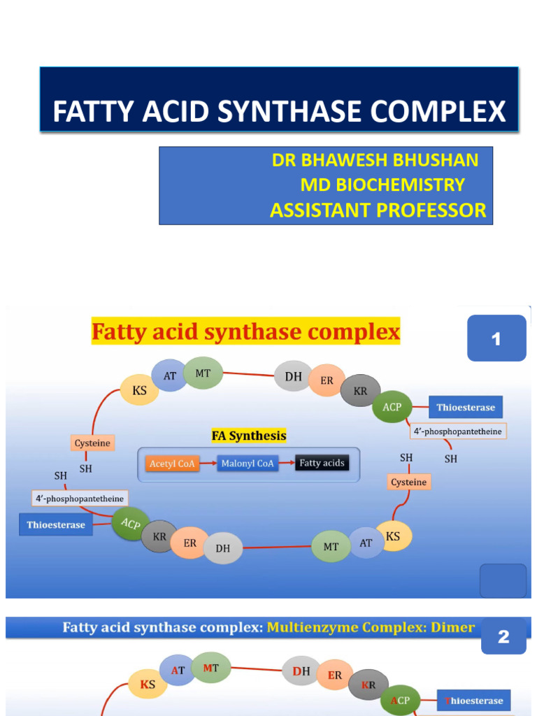 Fatty Acid Synthase Complex And Denovotag Autosaved Pdf 9737