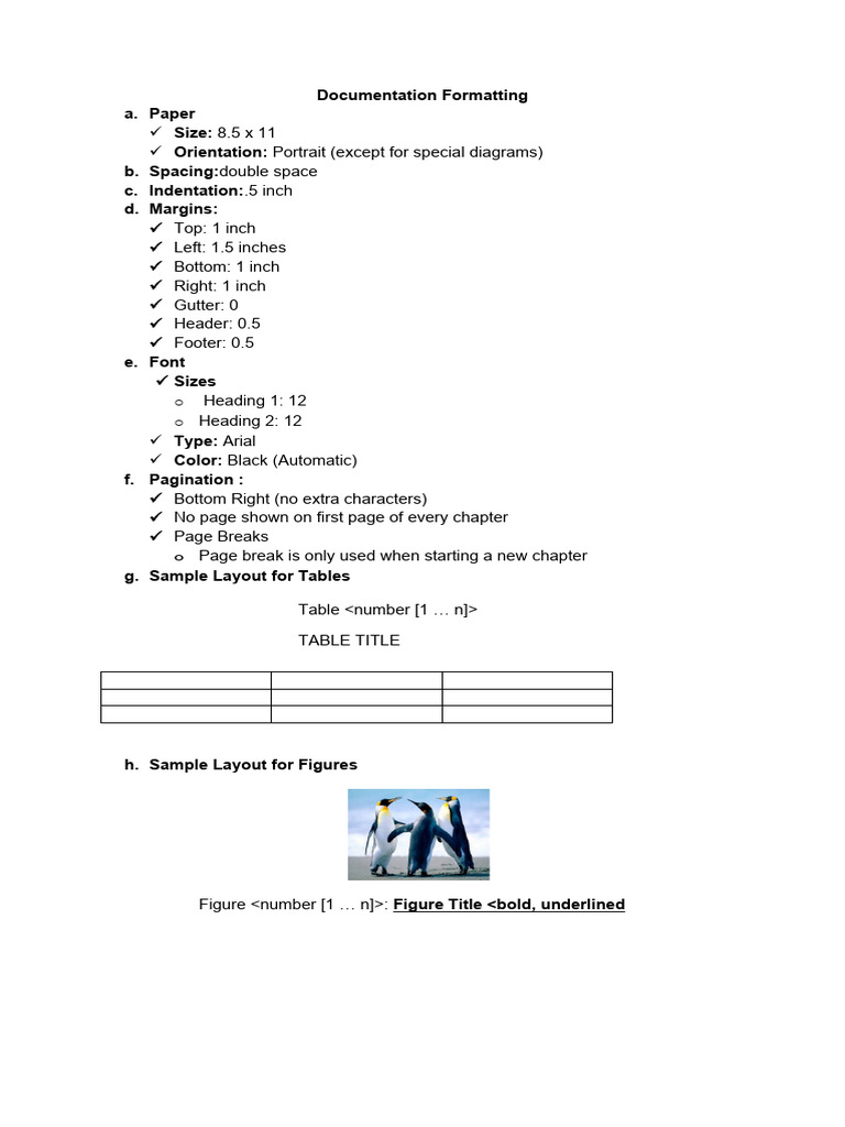 Documentation Formatting 1 | PDF