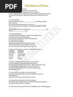 Nutrition in Plants Class 7 Worksheet Science Chapter 1 | PDF