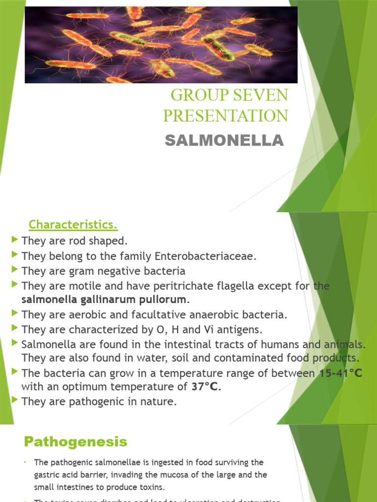 Group Seven Presentation | PDF | Salmonella | Health Sciences