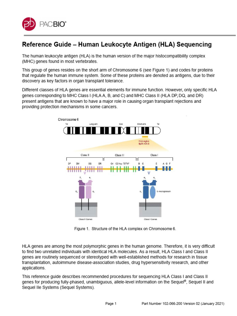 Reference Guide Human Leukocyte Antigen HLA Sequencing | PDF ...