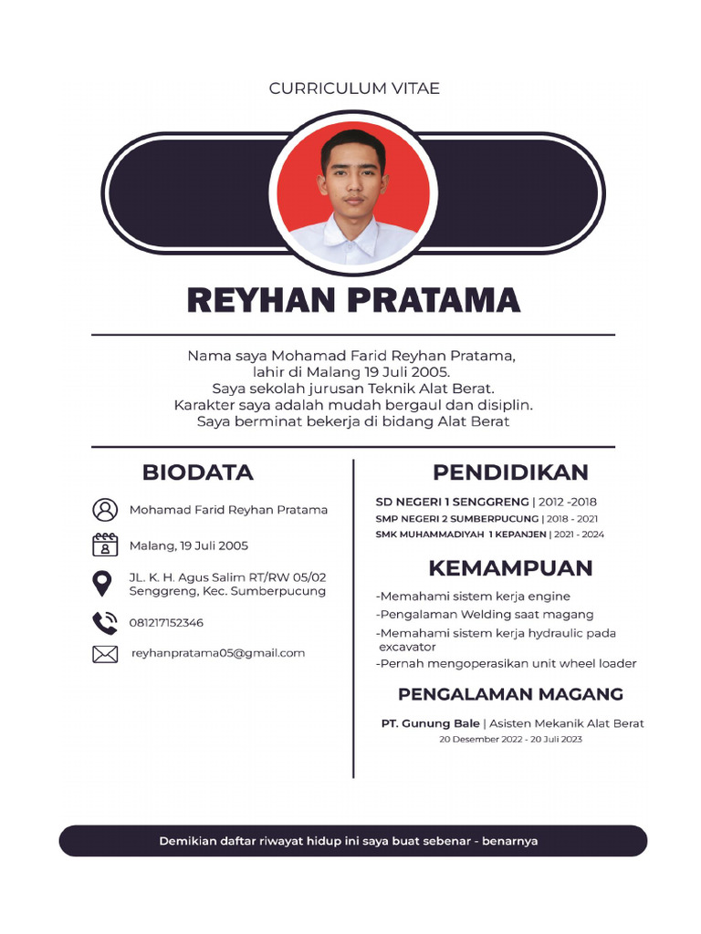 Reyhan - Curriculum Vitae | PDF
