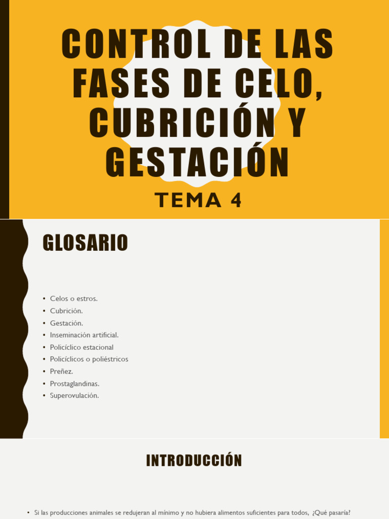 T4 Control Fases Celo Cubricion y Gestacion | PDF | Vacas | Infección