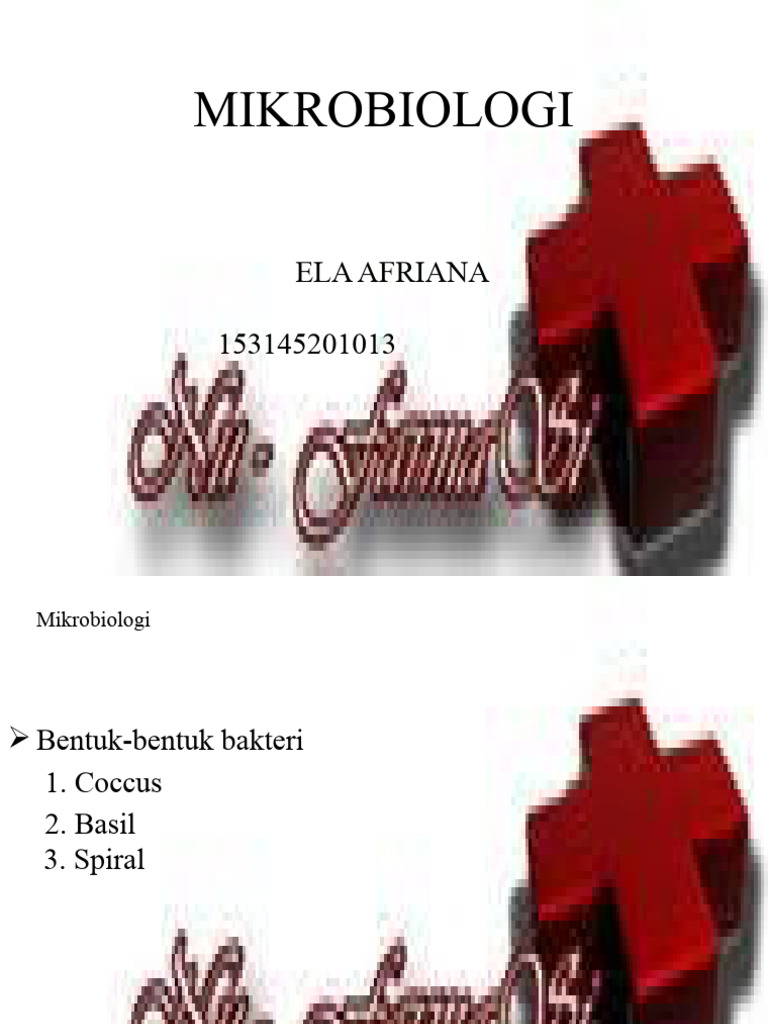 Mikro Pdf