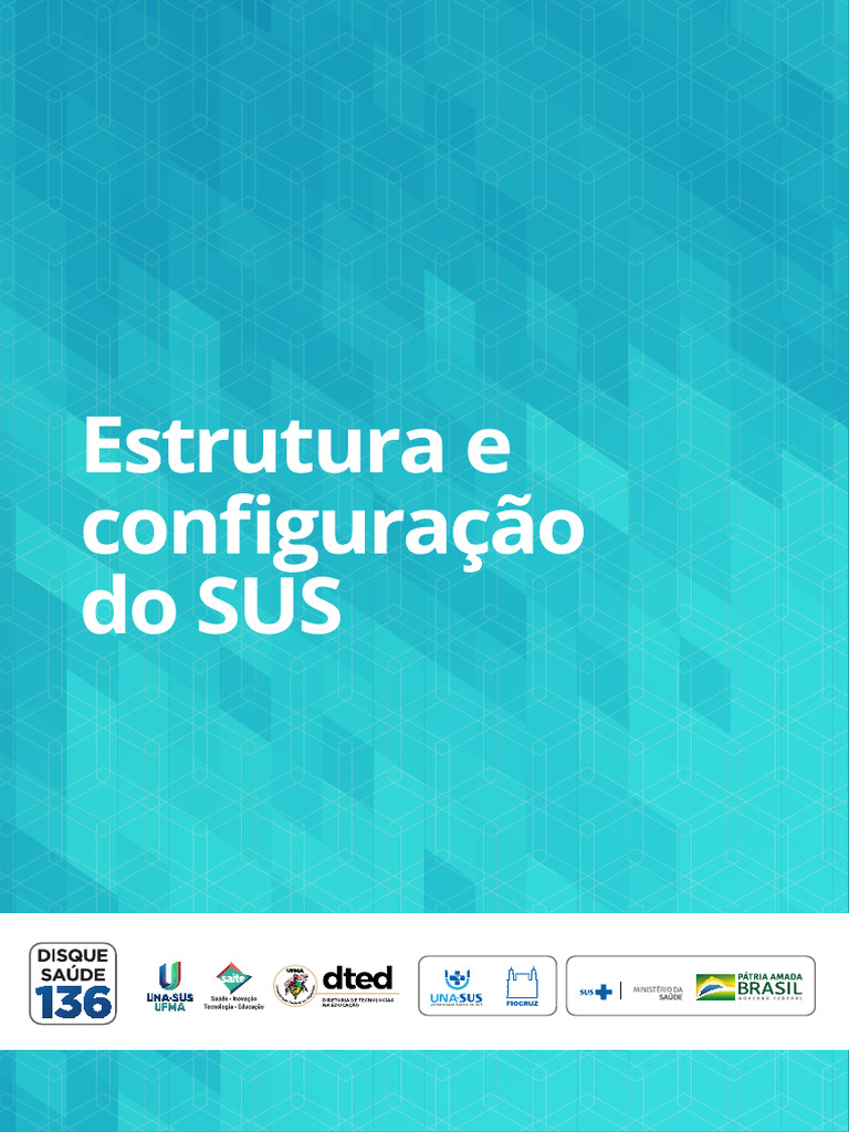 Estrutura e Configurações Do Sus | PDF | Doença não transmissível | Brasil