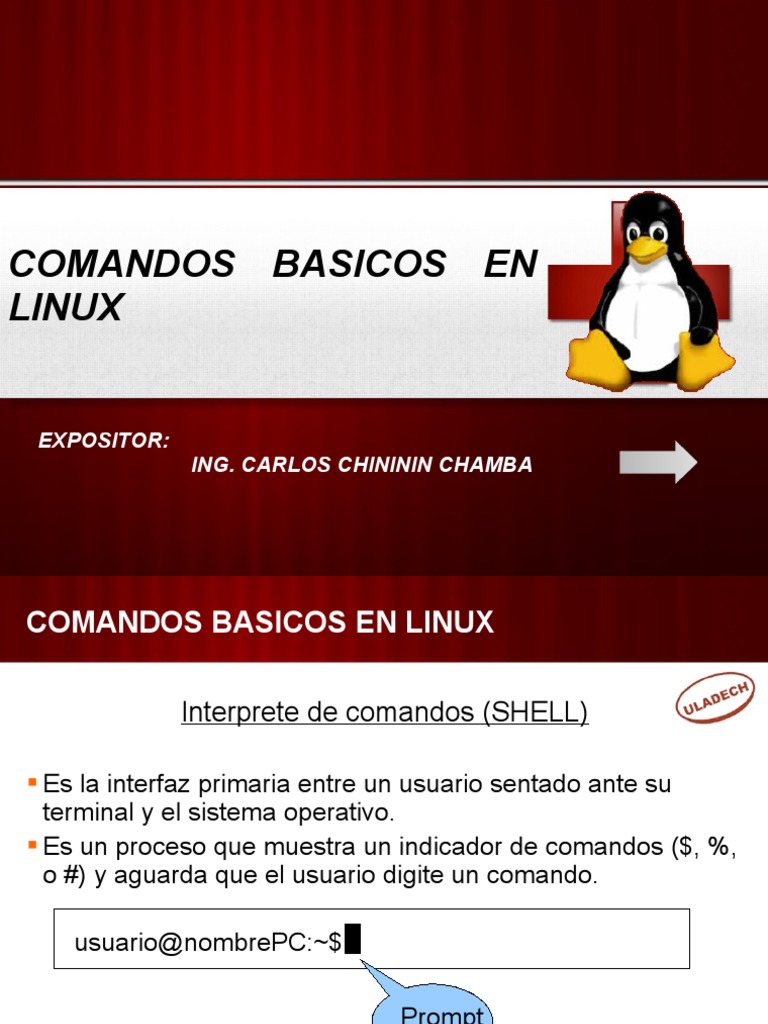 Comandos Basicos Linux | PDF