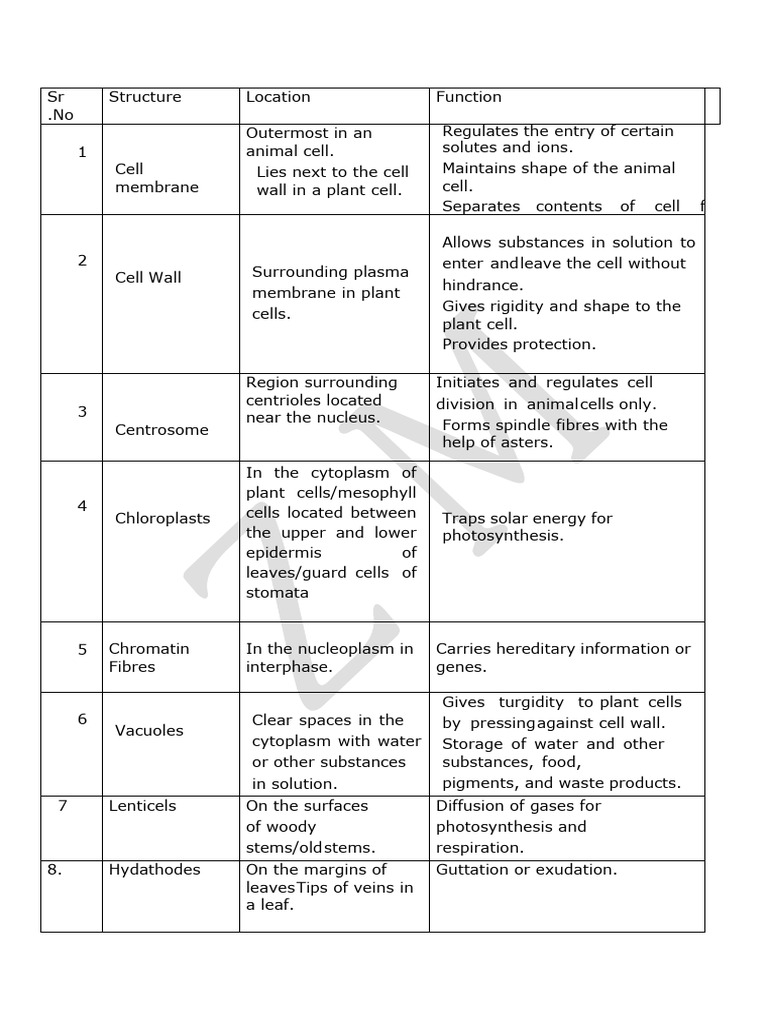 Location and Functions - Biology Reduced Syllabus | PDF | Heart Valve ...