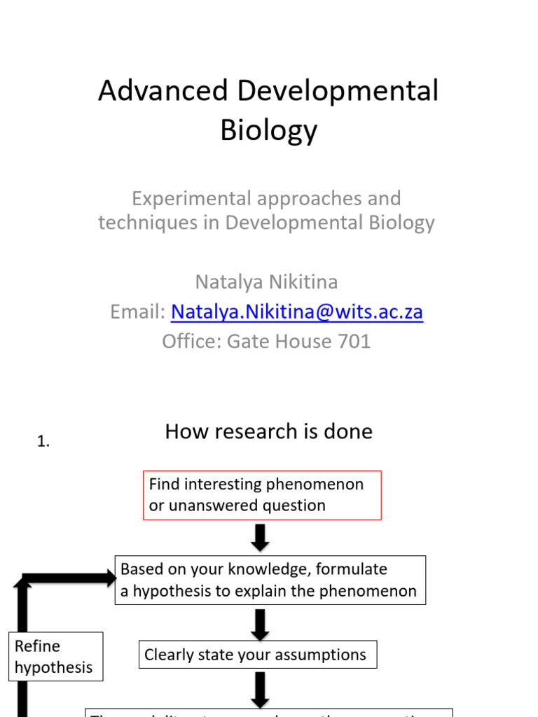 Lecture Slides - Experimental Approaches | PDF | In Situ Hybridization | Messenger Rna