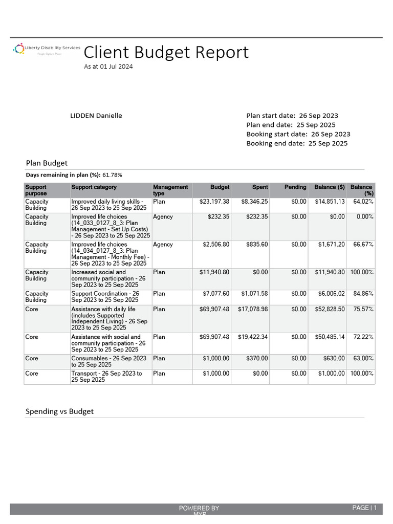 Client Budget Report Overview | PDF
