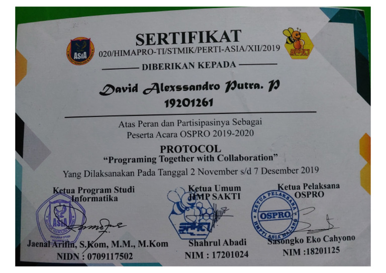 Sertifikat Peserta OSPRO TI | PDF