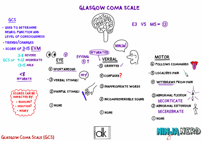 1000.1 Nursing] Glasgow Coma Scale (GCS) - key | PDF