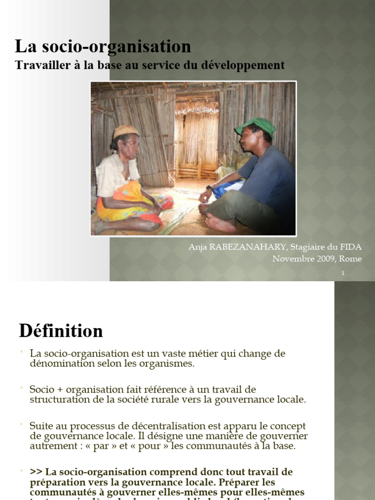 Socio Orga | PDF | Gouvernance