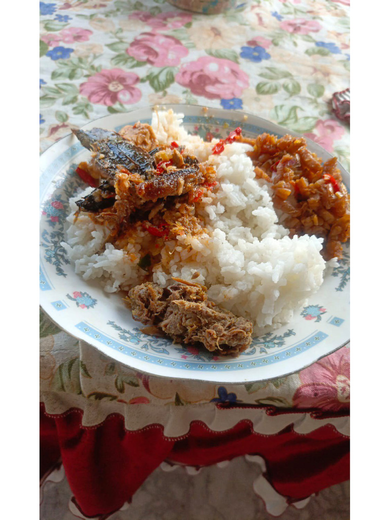 Nasi | PDF