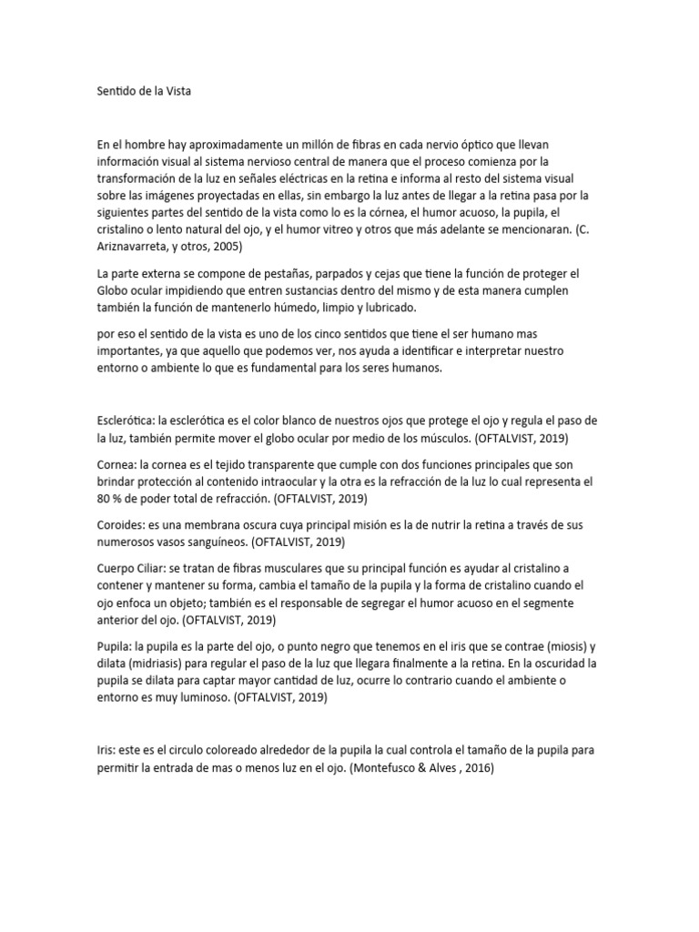 Sentido de La Vista | PDF | Ojo humano | Percepción visual